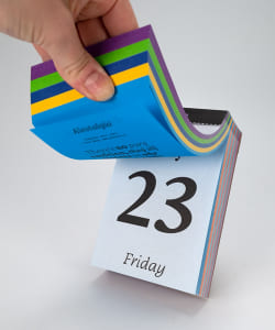 bPr BEAMS (bPr BEAMS) TYPODARIUM / Calendar 2025 (Miscellaneous goods ...