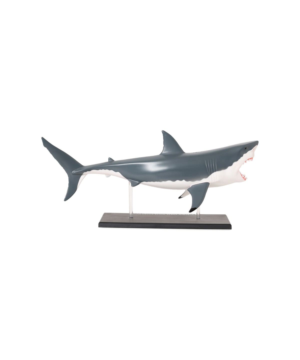 bPr BEAMS（bPrビームス）4D MASTER / ANIMAL ANATOMY（雑貨・ホビー フィギュア）通販｜BEAMS