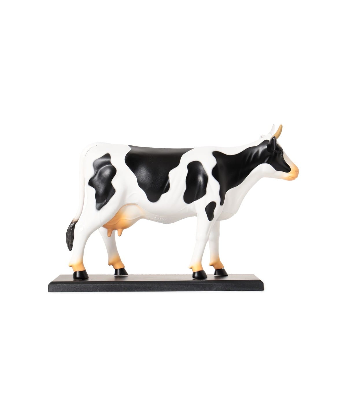 bPr BEAMS（bPrビームス）4D MASTER / ANIMAL ANATOMY（雑貨・ホビー フィギュア）通販｜BEAMS