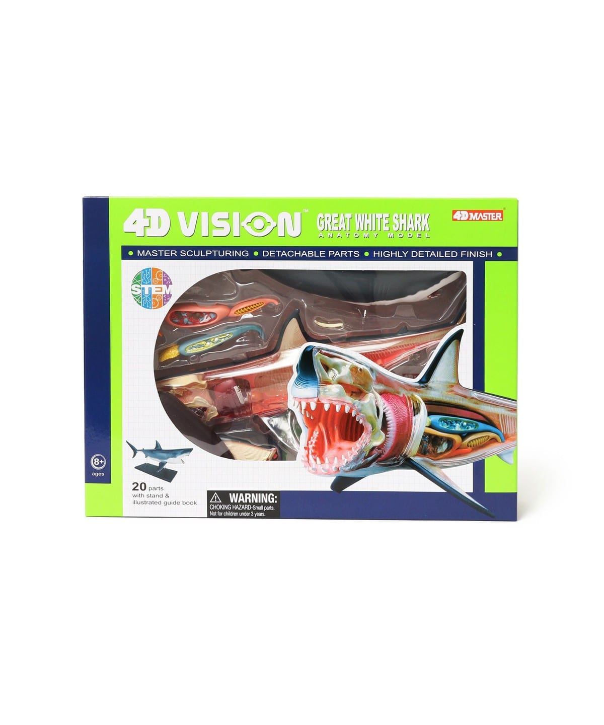 bPr BEAMS（bPrビームス）4D MASTER / ANIMAL ANATOMY（雑貨・ホビー フィギュア）通販｜BEAMS