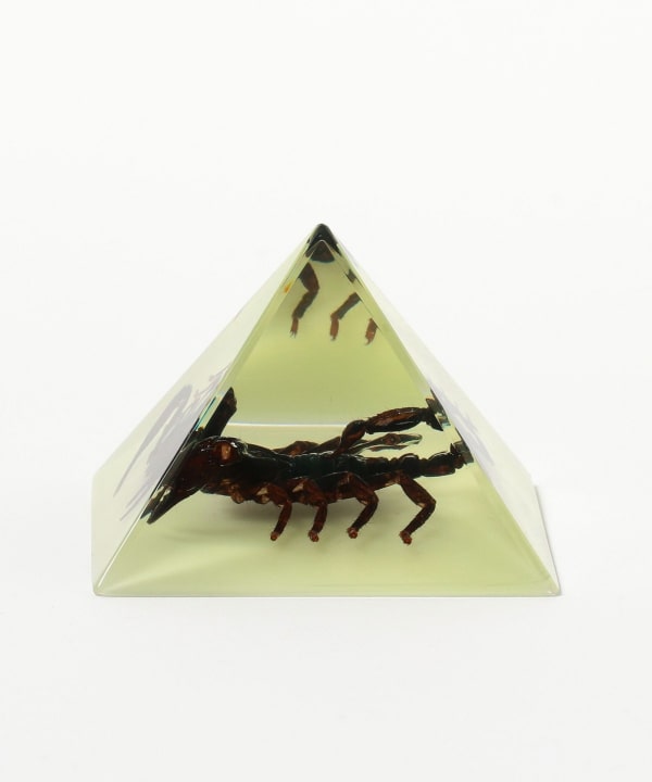 bPr BEAMS（bPrビームス）REAL BUG / Pyramid（インテリア インテリアアクセサリー）通販｜BEAMS