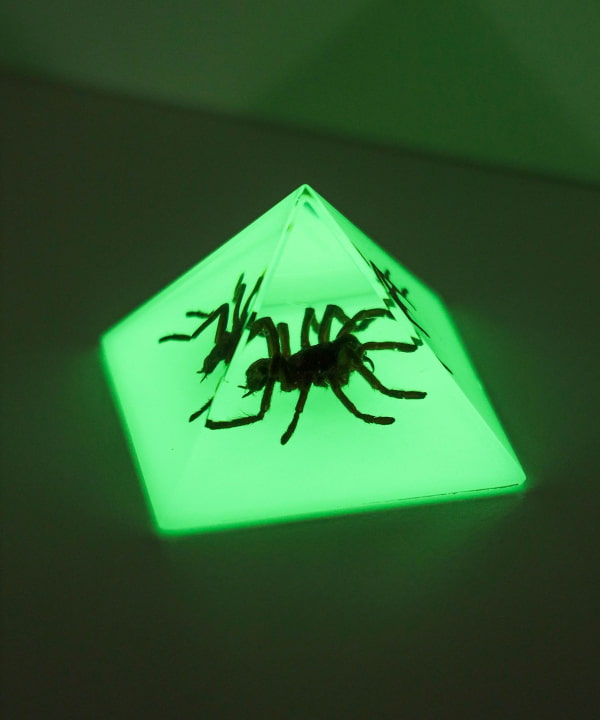 bPr BEAMS（bPrビームス）REAL BUG / Pyramid Tarantula（インテリア インテリアアクセサリー）通販｜BEAMS