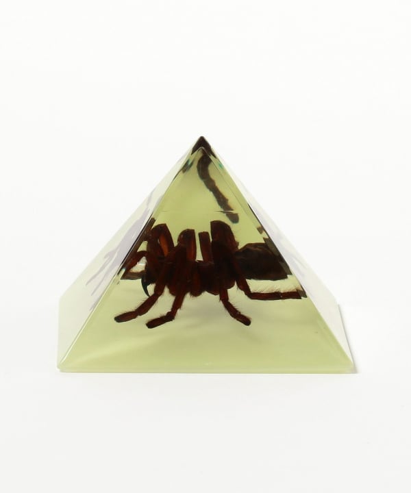bPr BEAMS（bPrビームス）REAL BUG / Pyramid Tarantula（インテリア インテリアアクセサリー）通販｜BEAMS