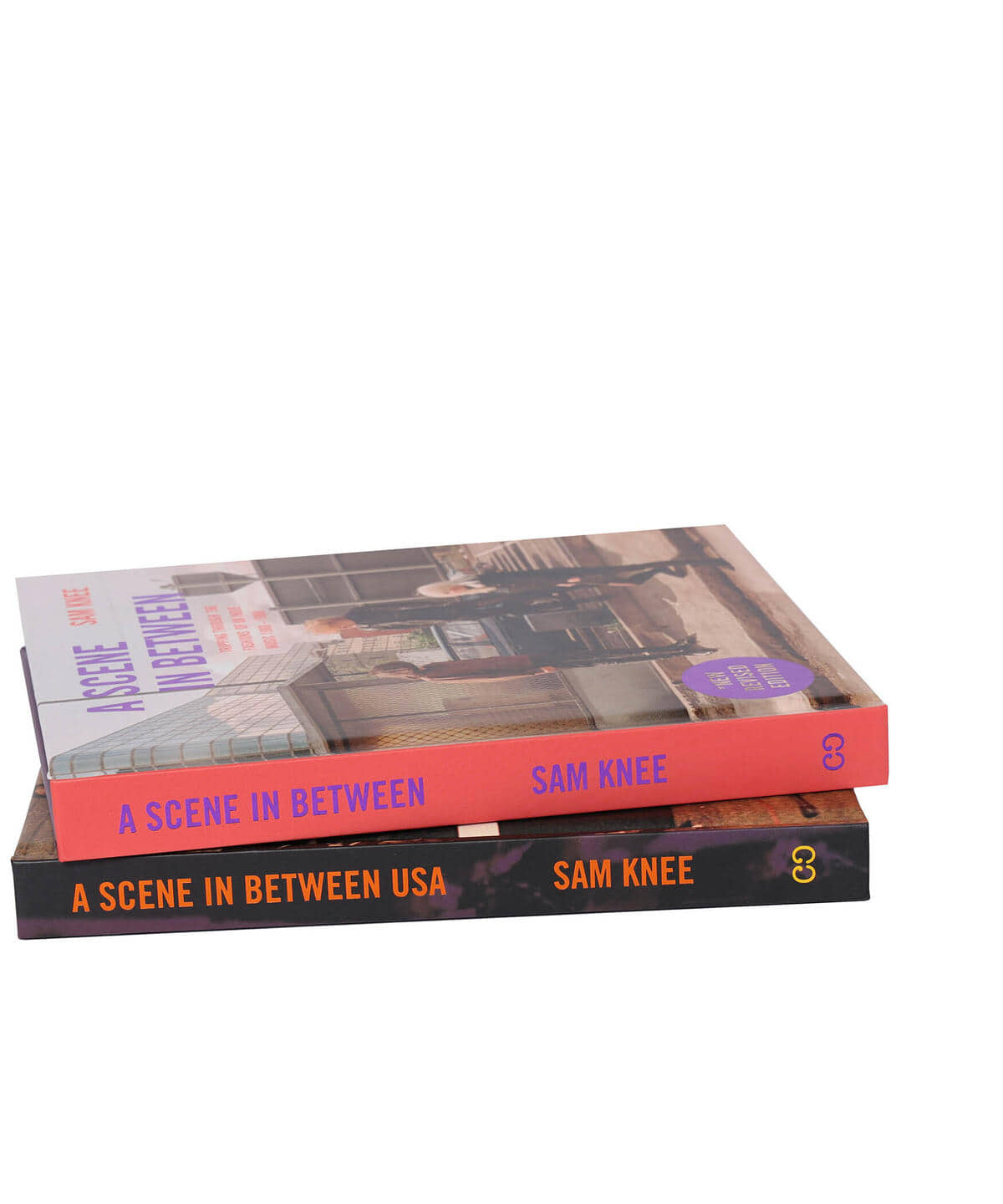 bPr BEAMS（bPrビームス）Cicada Books / A SCENE IN BETWEEN (Revised Edition ...