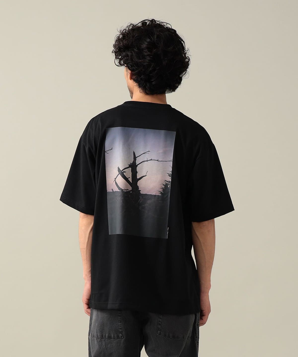 Pilgrim Surf+Supply（ピルグリム サーフ+サプライ）PSSPC Tee Springs（Tシャツ・カットソー Tシャツ）通販 ...